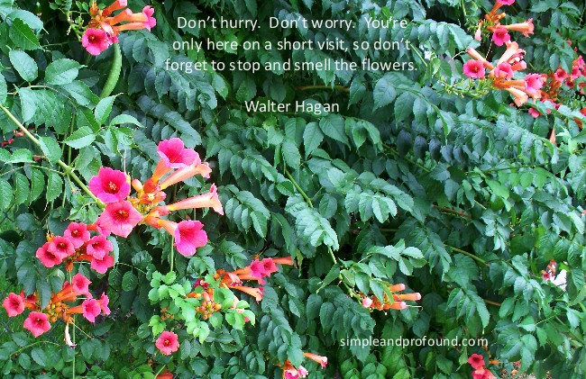 Simple and profound thoughts on life and living